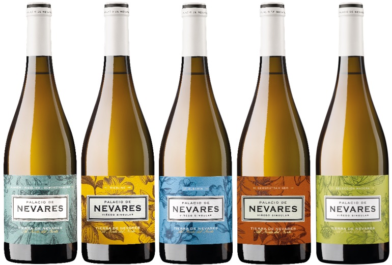 Bodega - Bodega Palacio de Nevares